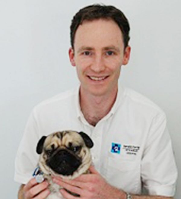 About - Berwick Springs Veterinary Hospital