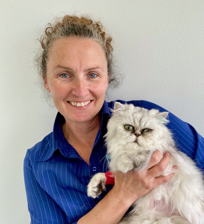 About - Berwick Springs Veterinary Hospital