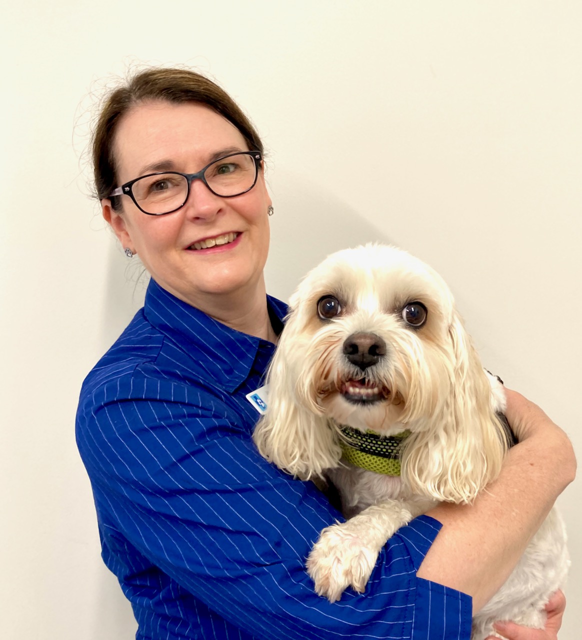 About - Berwick Springs Veterinary Hospital