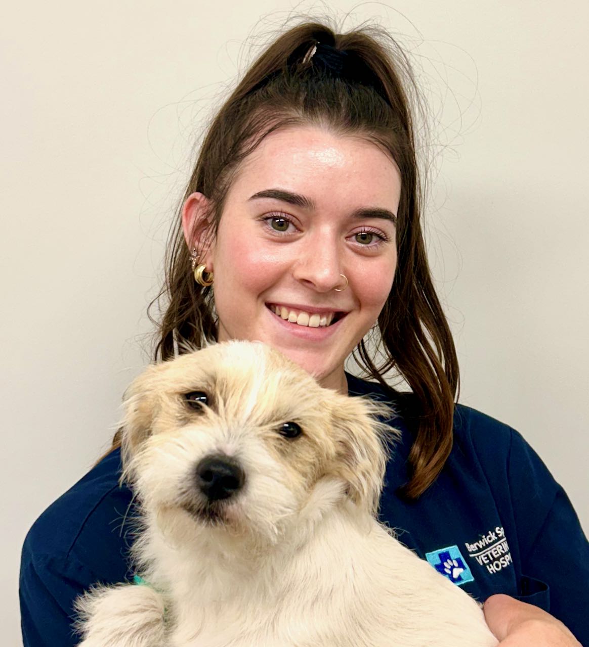 About - Berwick Springs Veterinary Hospital